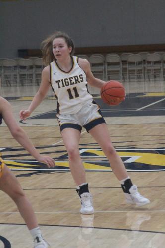 Schisel, Adleman lead area All-EWC Girls Basketball | Sports ...