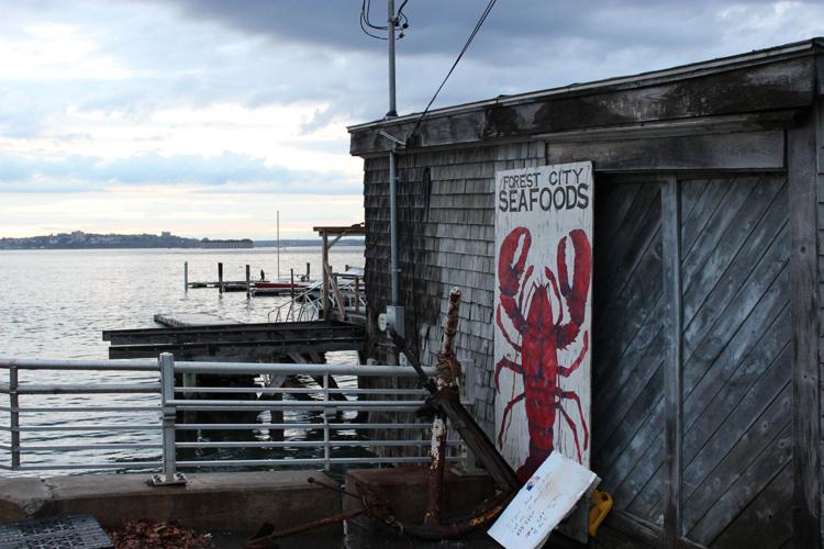 Hometown Spotlight: Cape Elizabeth, Maine | Culture | jackcentral.org