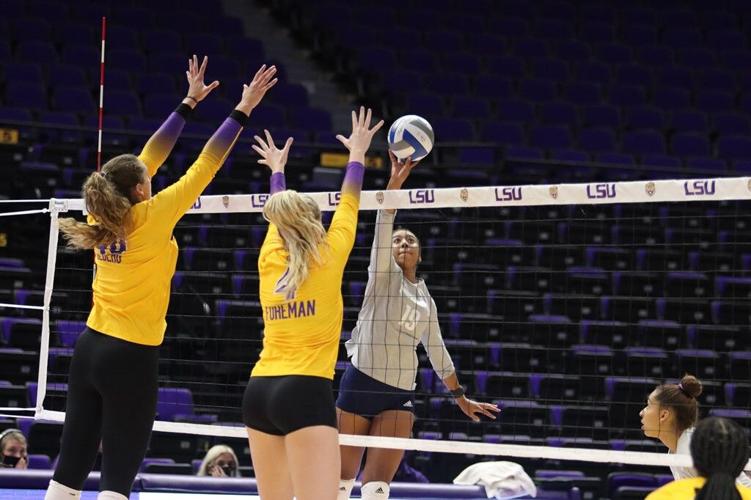 NAU volleyball freshman class bring experience to young core | Sports ...
