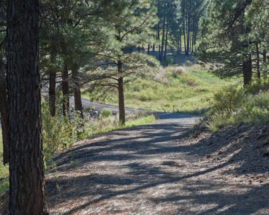 Flagstaff Urban Trail System passes 50 miles of trails | News ...