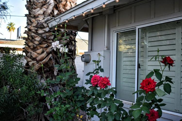 Hometown Spotlight: Arcadia, Arizona | Culture | jackcentral.org