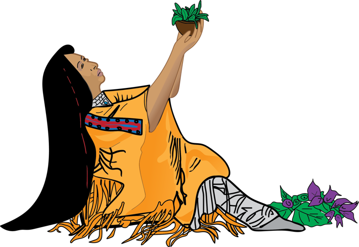 The plant people: A way of life for Native Americans | Features ...