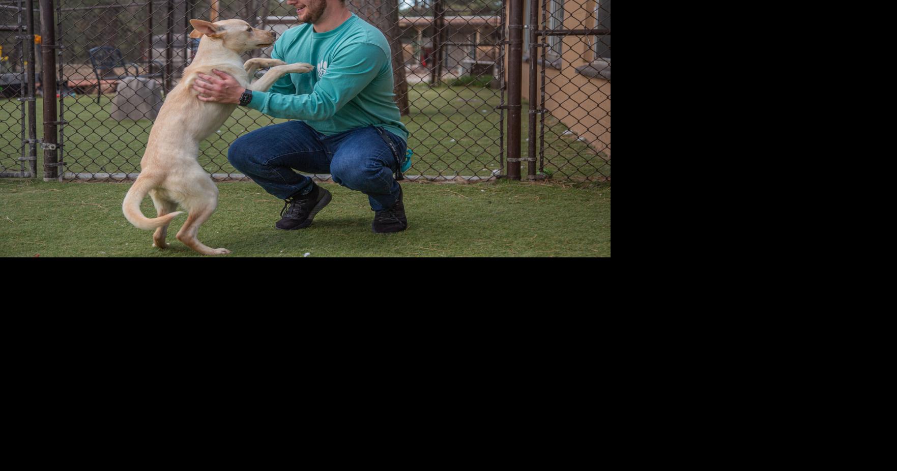 Coconino Humane Association Greek Lyfe Clean Up | Gallery | jackcentral.org