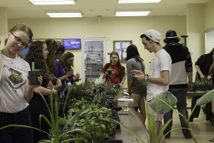 Digging in the dirt: NAU's Botany Club | Culture | jackcentral.org