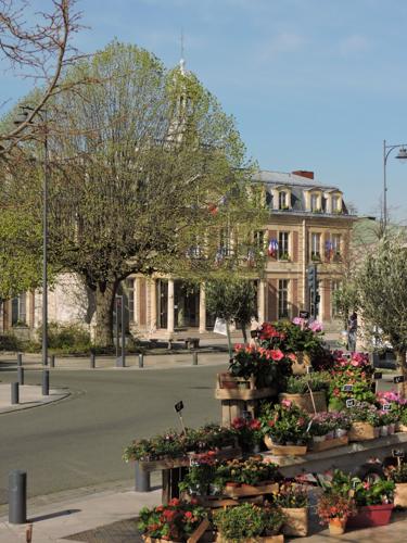 Hometown Spotlight: Maisons-Alfort, France | Culture | jackcentral.org