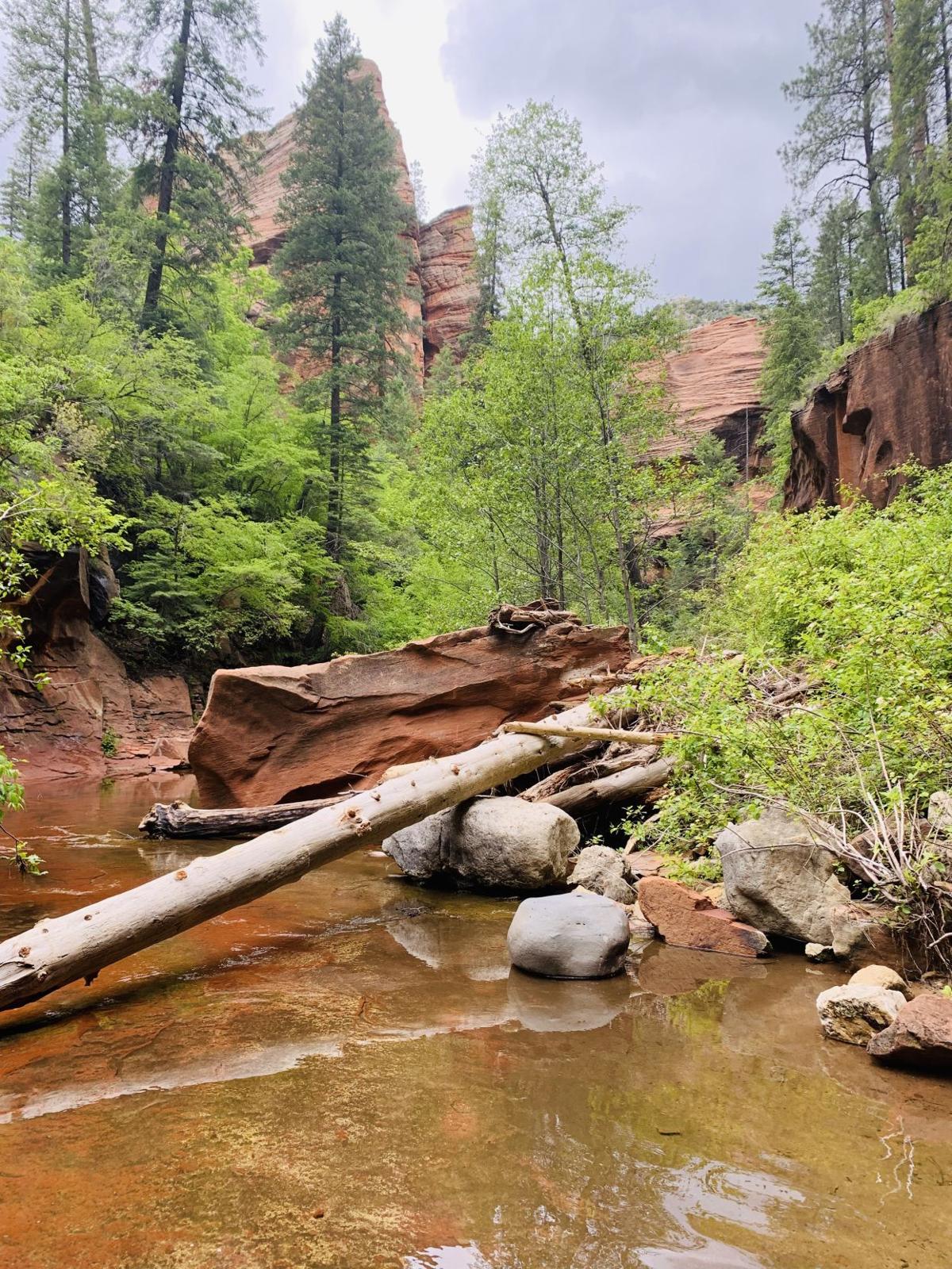 Five local fishing spots for the Flagstaff angler | Features ...