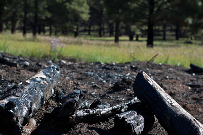 Schultz Fire has a lasting impact | News | jackcentral.org