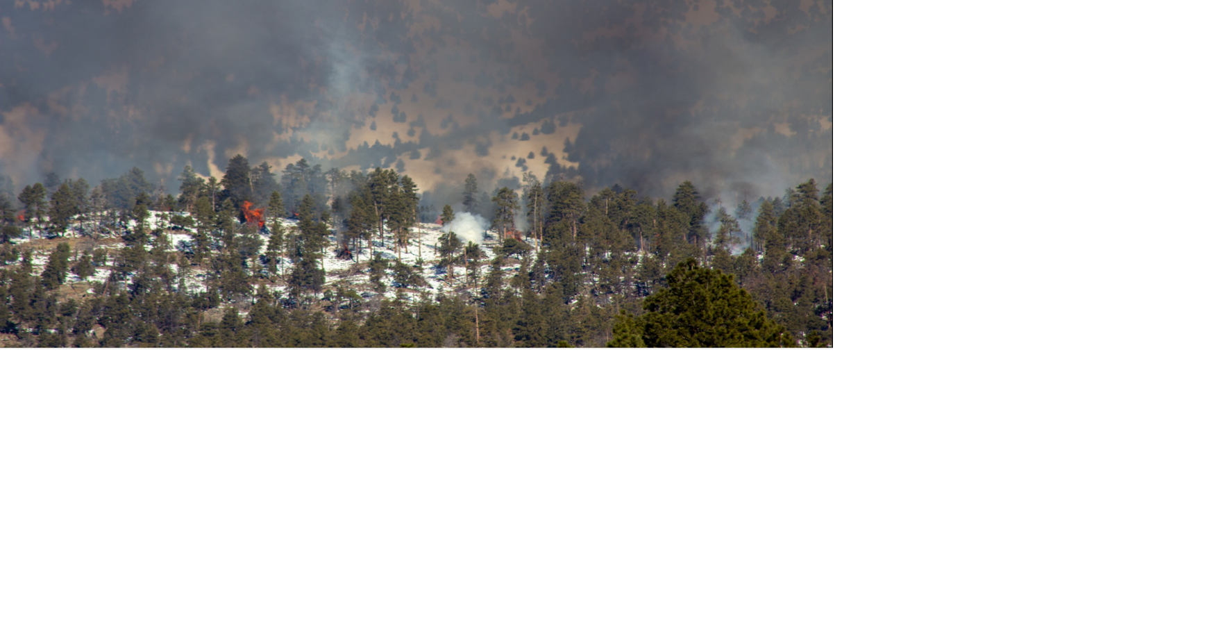 Coconino National Forest modifies prescribed burn dates and acreage ...