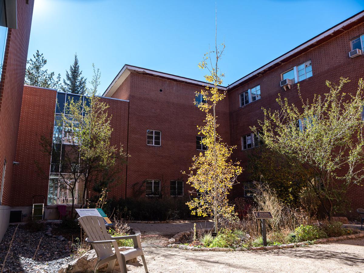Places in the Pines: A history of NAU's architecture | Magazine ...