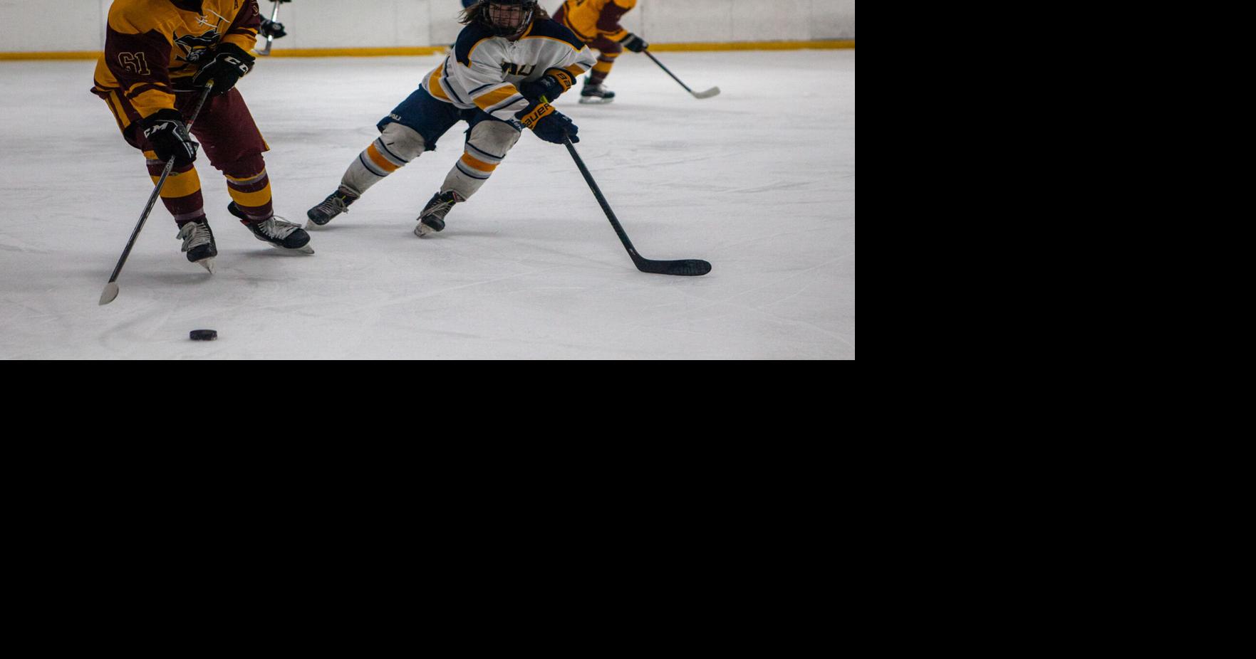 NAU D3 Ice Jacks axe out Park University 5-1 | Gallery | jackcentral.org