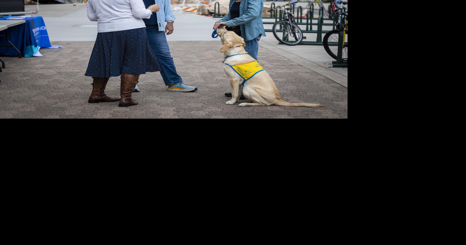 Bringing awareness to Disability Pride and Heritage Month at NAU ...