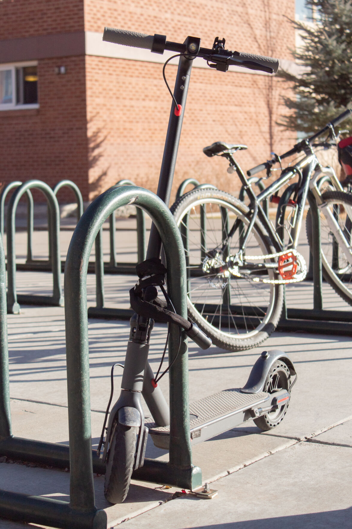 Flagstaff City Council revisits micro-mobility share program | News ...