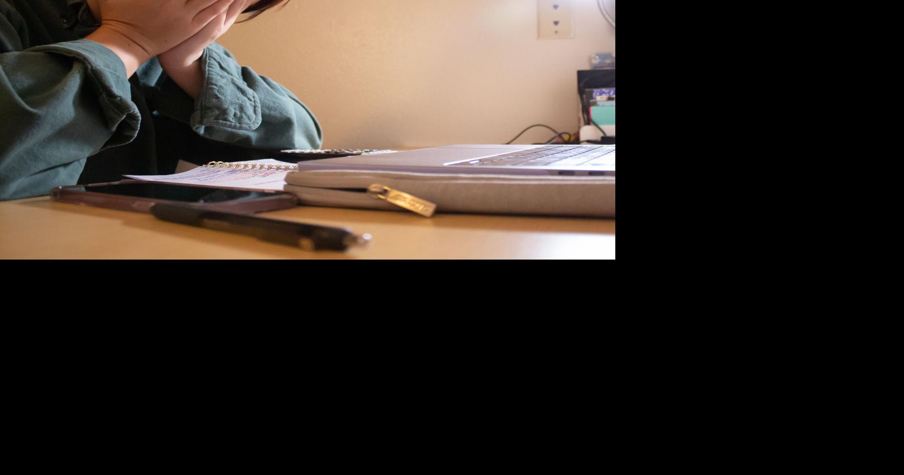 Surviving and recovering from the Zoom apocalypse | Features ...