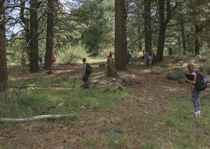 Camp Colton celebrates 50 years of environmental education | Features ...