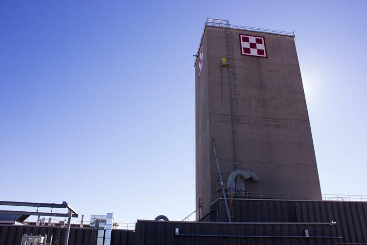 Purina Plant | Gallery | jackcentral.org