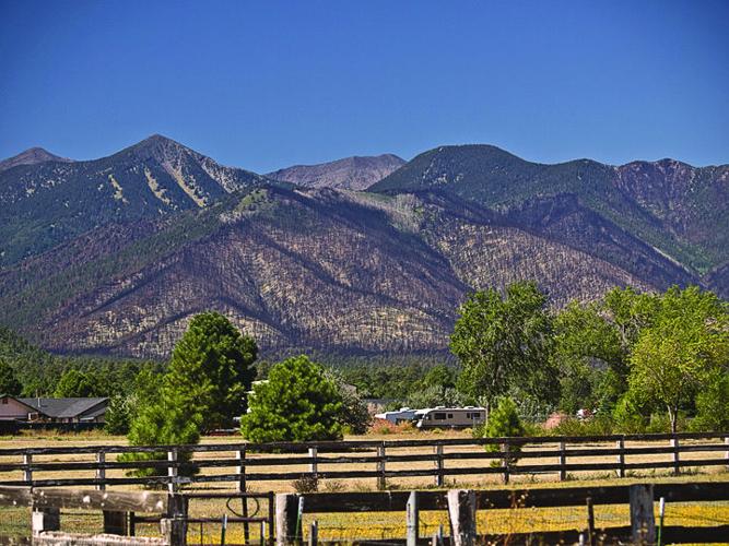 Schultz Fire has a lasting impact | News | jackcentral.org