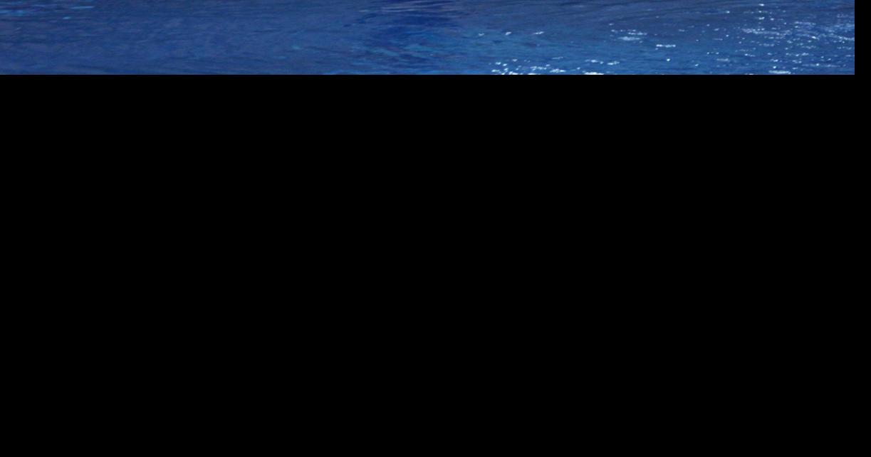 NAU dive caps off season hosting the NCAA Zone E Diving Championships ...