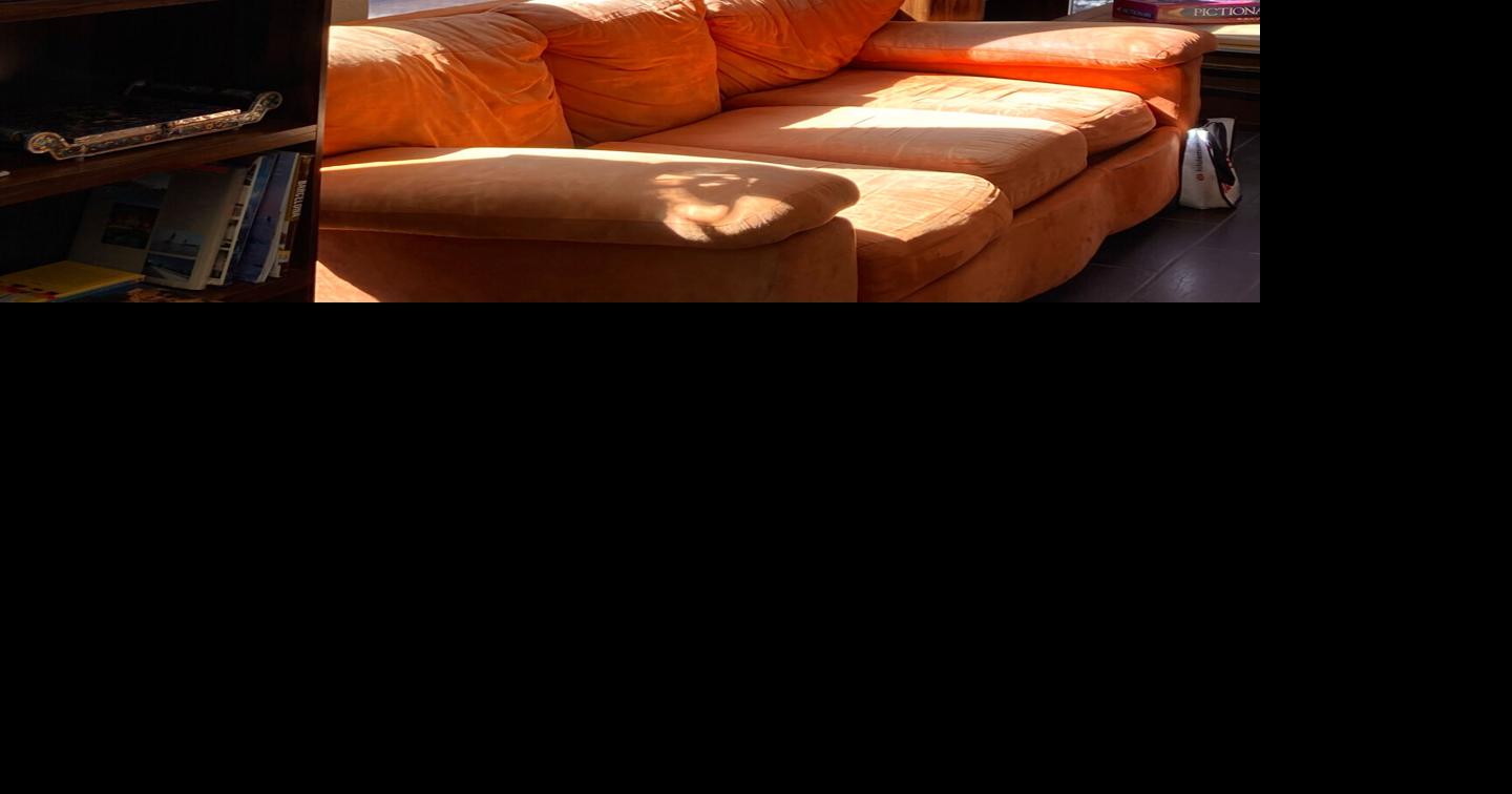 HRM café serves up an entertaining open mic night | Culture ...