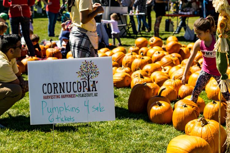 Cornucopia Festival announces the arrival of autumn | Culture ...