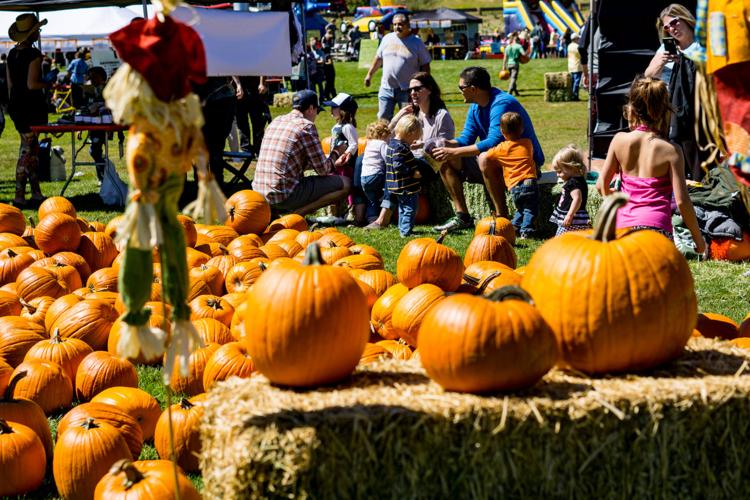 Cornucopia Festival announces the arrival of autumn | Culture ...