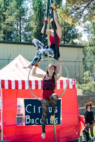 Cornucopia Festival announces the arrival of autumn | Culture ...