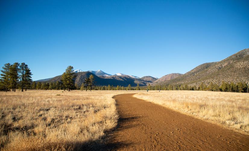 The views of Flagstaff | Gallery | jackcentral.org