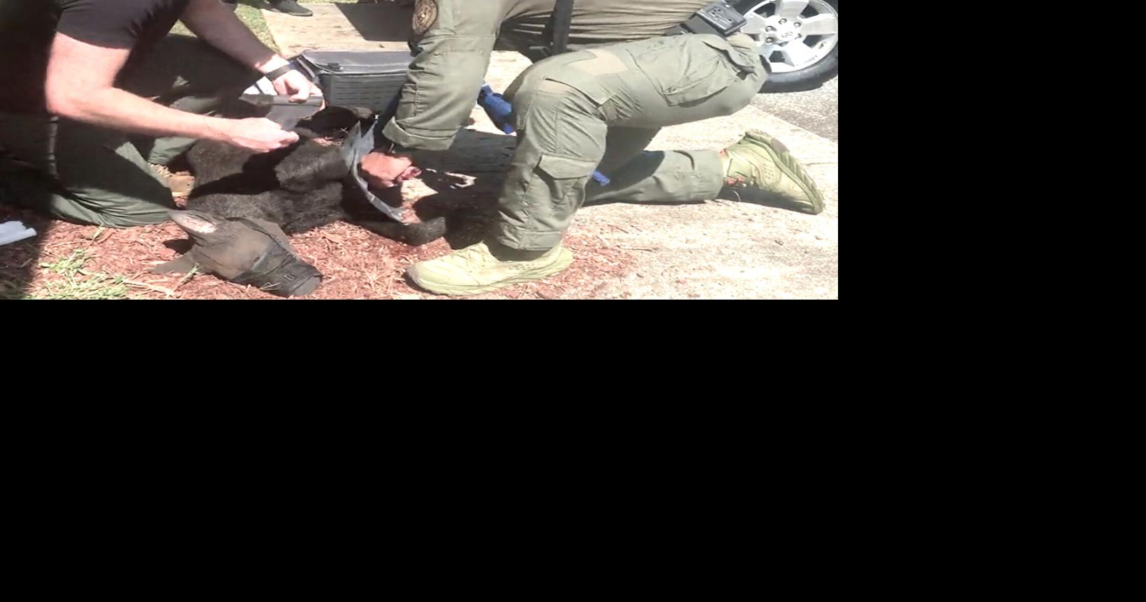 Butts County Sheriff’s Office hosts K9 training course | News ...