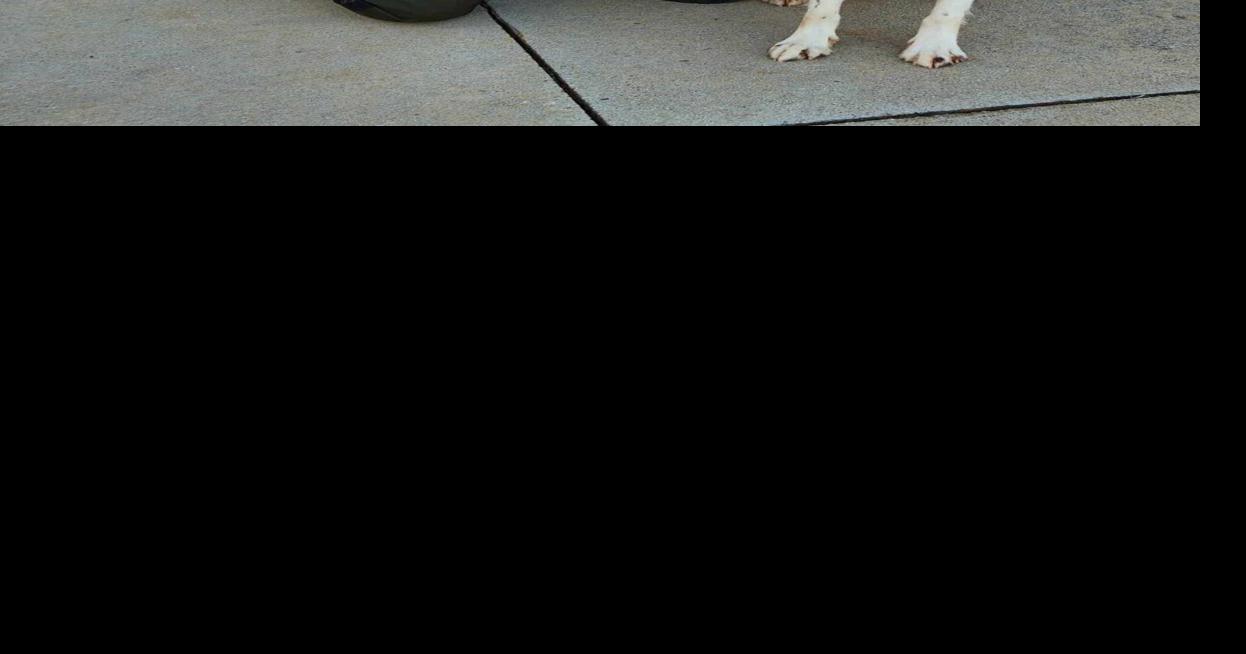 Butts County Sheriff’s Office adds second K-9 officer in Butts County ...