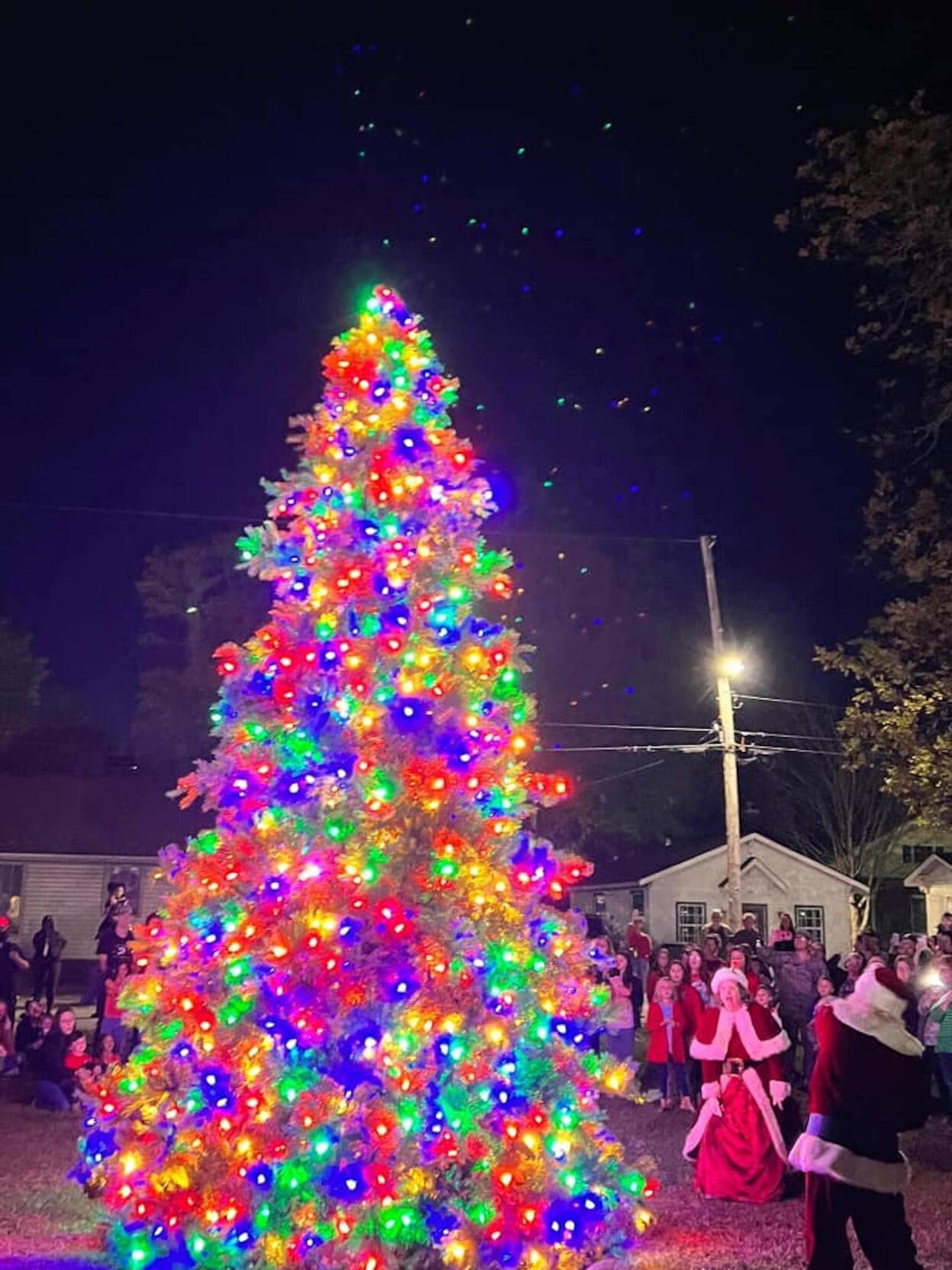 Jackson tree lighting event held Nov. 18 | News | jacksonprogress-argus.com