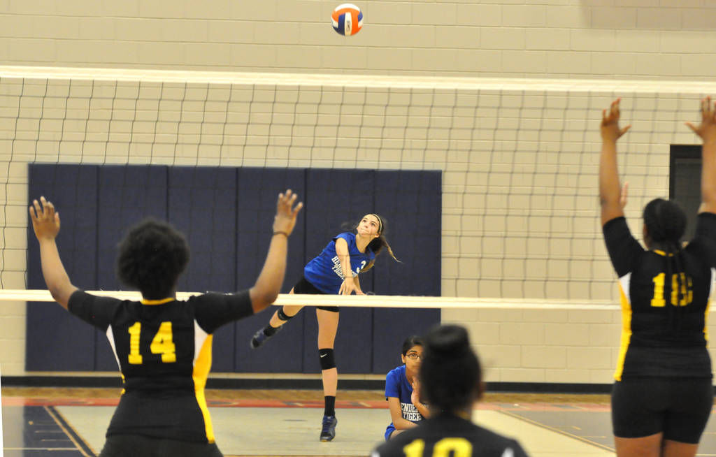 Seventh-grade volleyball team heads to playoffs | Sports ...