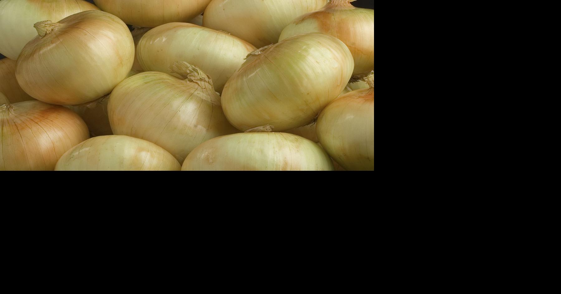 Butts County 4-H sells farm-fresh onions | News | jacksonprogress-argus.com