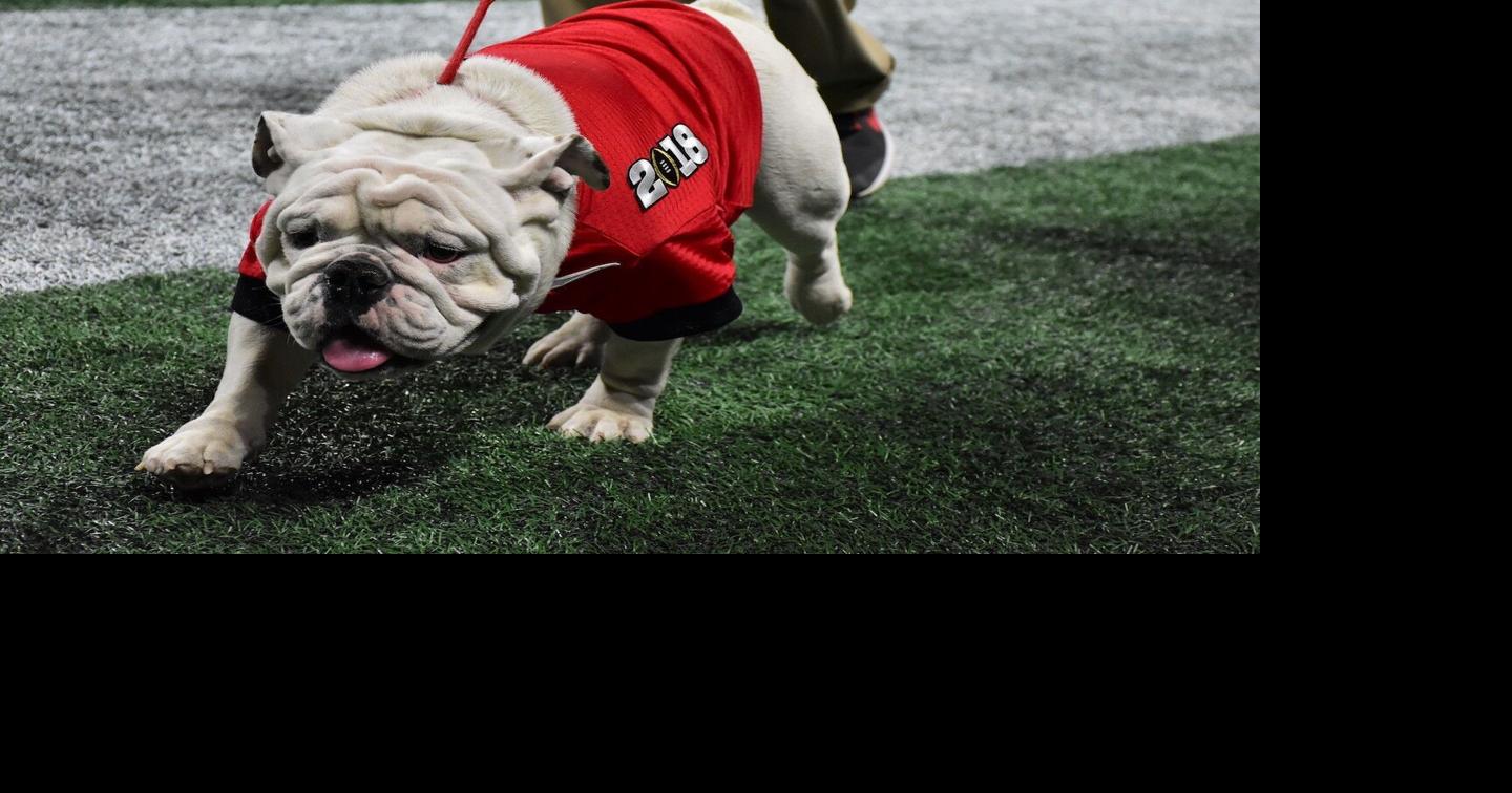 Former UGA Mascot Uga X Passes Away at Savannah Home | Sports ...