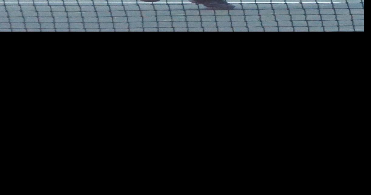 Jackson Red Devils are 5-1 overall, 2-1 in region play in tennis ...