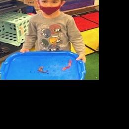 Daughtry Elementary School kindergarten students learn about worms and ...