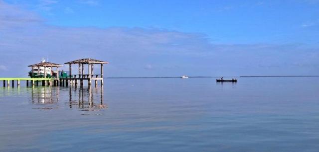 Destinos de Honduras: Reserva Biológica Laguna Caratasca, una belleza ...