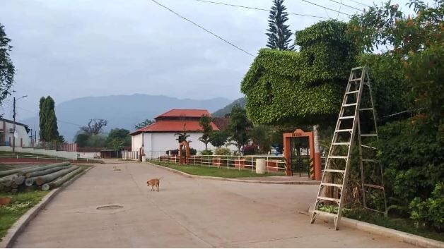 Destinos de Honduras: La Casa de árbol en el municipio de Jocón, Yoro ...