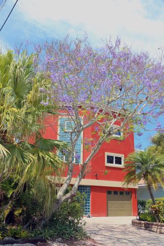 Anna Maria Island: Barrier island paradise | Families & Lifestyles ...