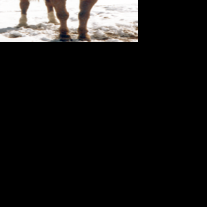 Arizona's last Jewish cowboy? | Families & Lifestyles | jewishaz.com