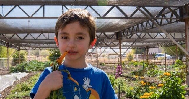 Farming, food and the magic of ‘worm poop,’ PJ Library celebrates Tu B ...