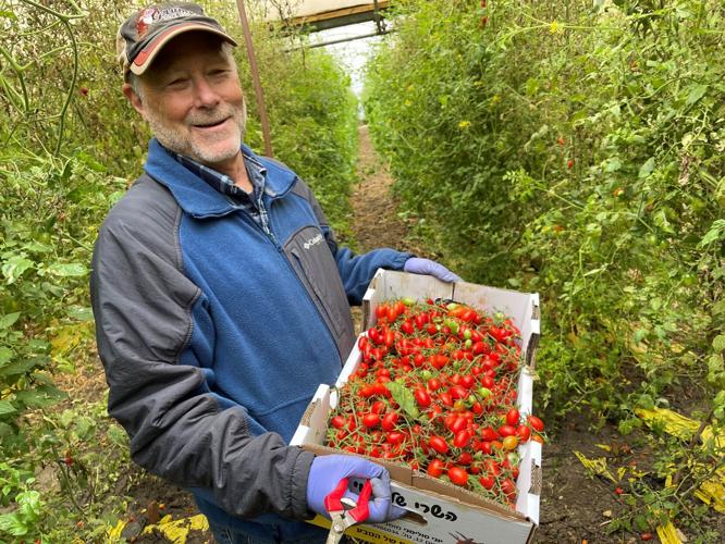 Arizonans were ready and willing to volunteer in Israel after Oct. 7 ...