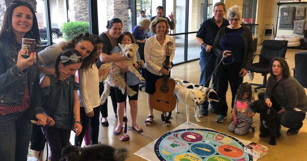 Even pets can keep kosher during Passover | Special Sections | jewishaz.com