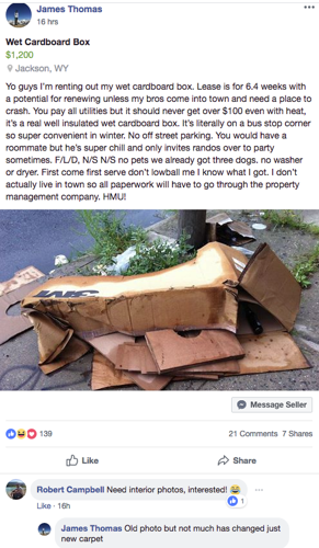 'Wet cardboard box' offered for rent. No pets. | The Hole Scroll ...