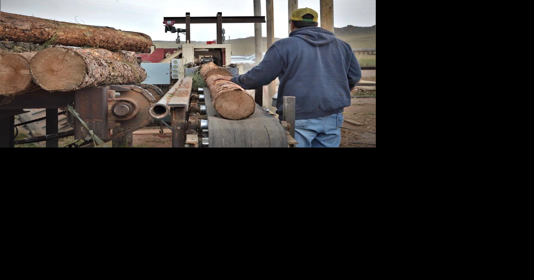 Lawmakers, loggers long for Trump-driven revival of Wyoming’s dying ...