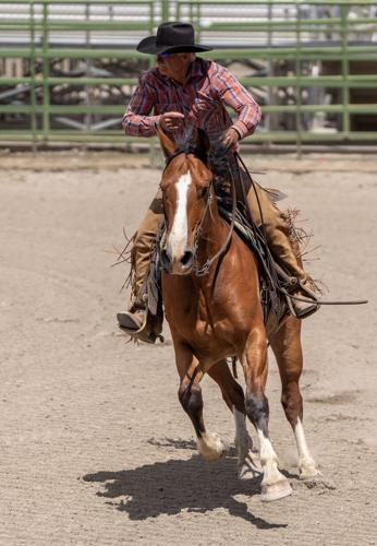 Horse shows kick off Teton County Fair | Features | jhnewsandguide.com