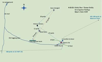 charles mock bear attack