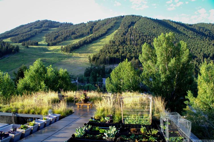 Strout, 77, was an architect with no ego | Features | jhnewsandguide.com