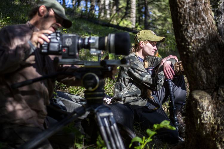 goshawk camera new forest
