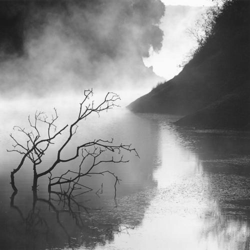 Photographers reveal, evade at Brownfield | Arts | jhnewsandguide.com