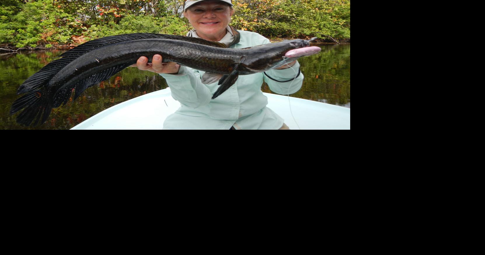 Casting for snakehead for fun — and feasting | Outdoors ...