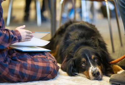 Calendar | Local | jhnewsandguide.com